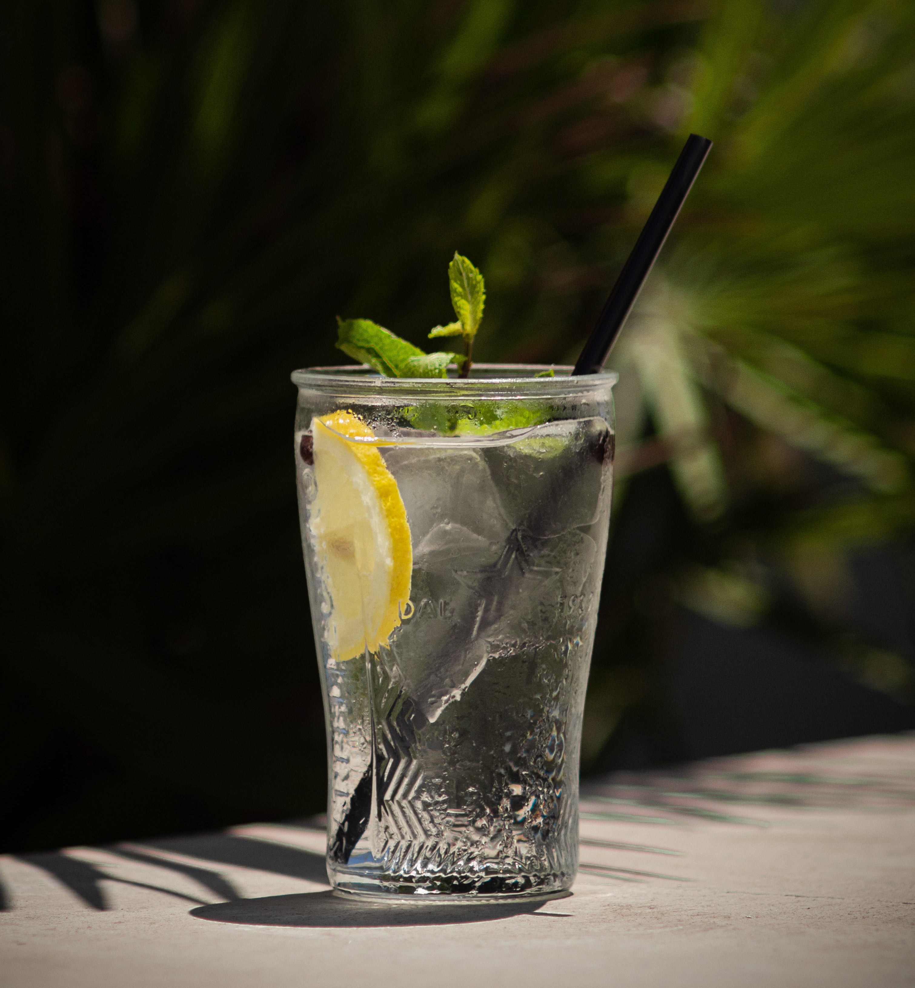 Gin & Tonic – Fou Gin